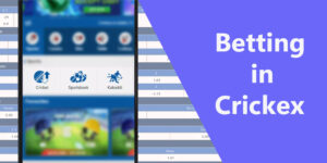 Crickex বাংলাদেশ বেটিং এবং ক্যাসিনো প্ল্যাটফর্ম – নিবন্ধন এবং লগইন